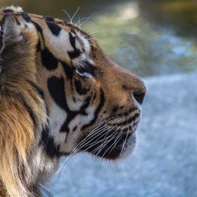 Gabriel Godwin (@gabrielgog@me.dm) - me.dm by Medium.com