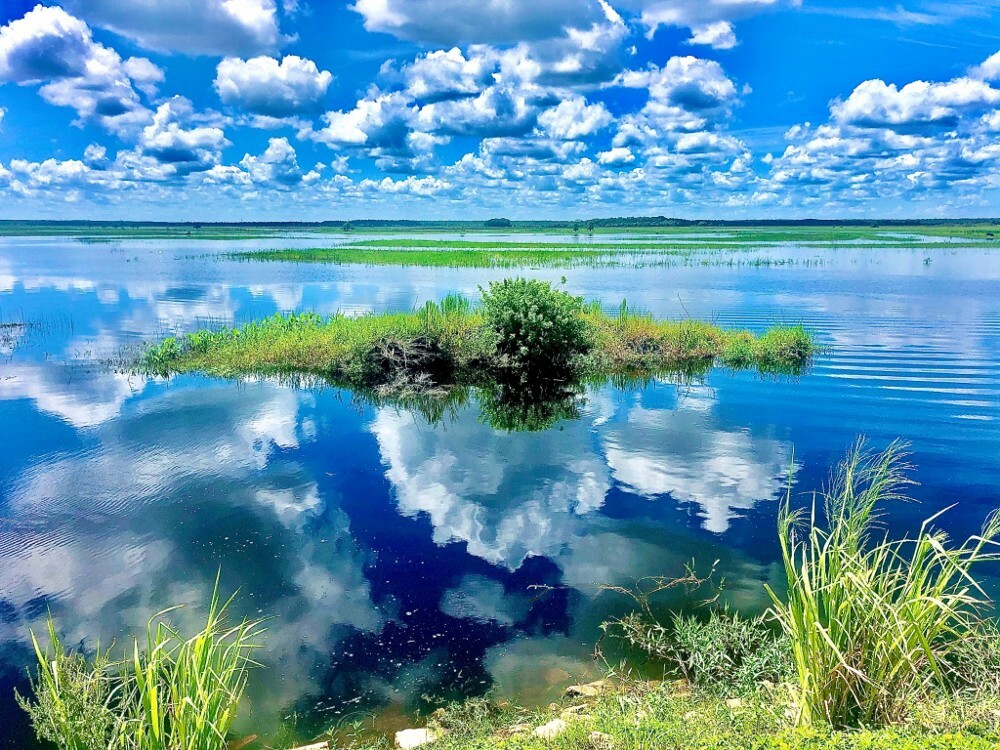 JoAnn Ryan (@joannryan@me.dm) - me.dm by Medium.com