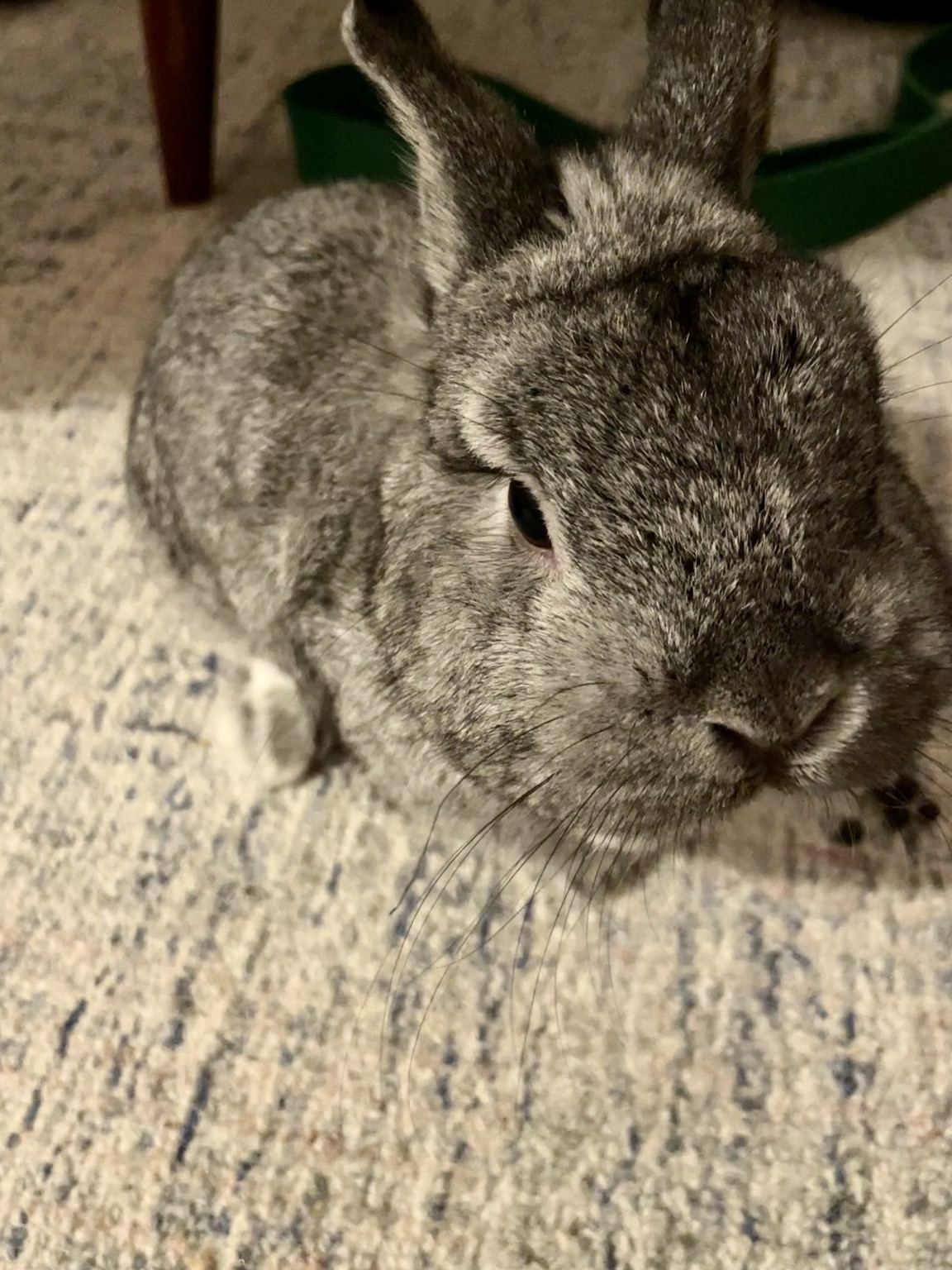 Meredith Cummings (@merecummings@me.dm) - me.dm by Medium.com