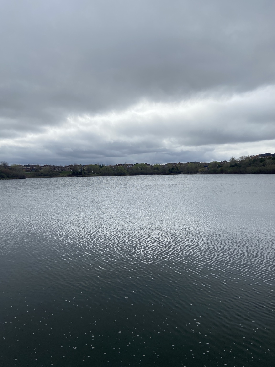 Adesh Acharya (@fradesh@me.dm) - me.dm by Medium.com