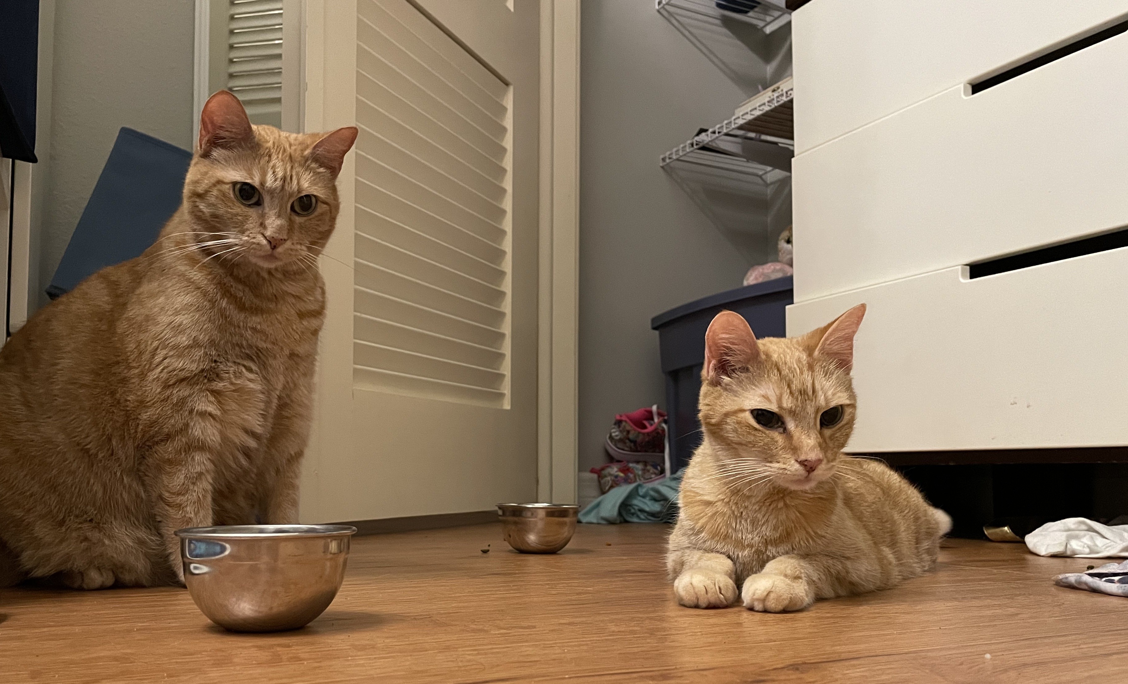 Jason Beaird (@jasongraphix@me.dm) - me.dm by Medium.com