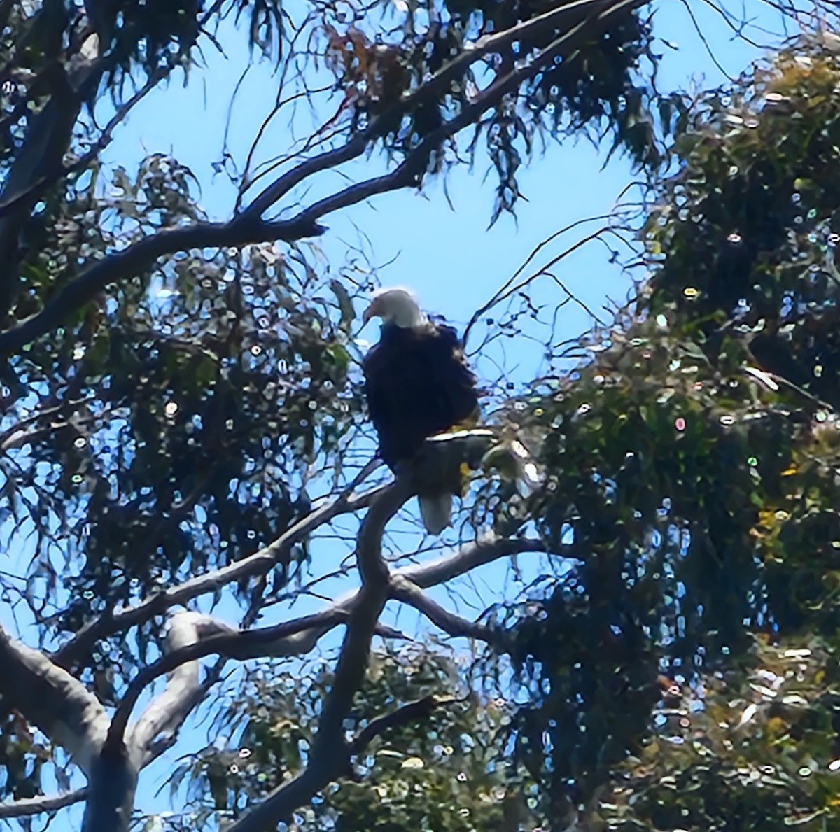 Rudy Winnacker (@ronpepsi@me.dm) - me.dm by Medium.com